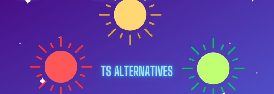 Top Typescript Alternatives For Javascript Types The Code Framework
